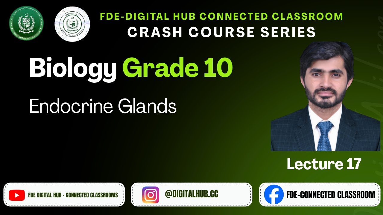 Endocrine Glands | Biology | Grade 10 | Crash Course Series | FDE - YouTube