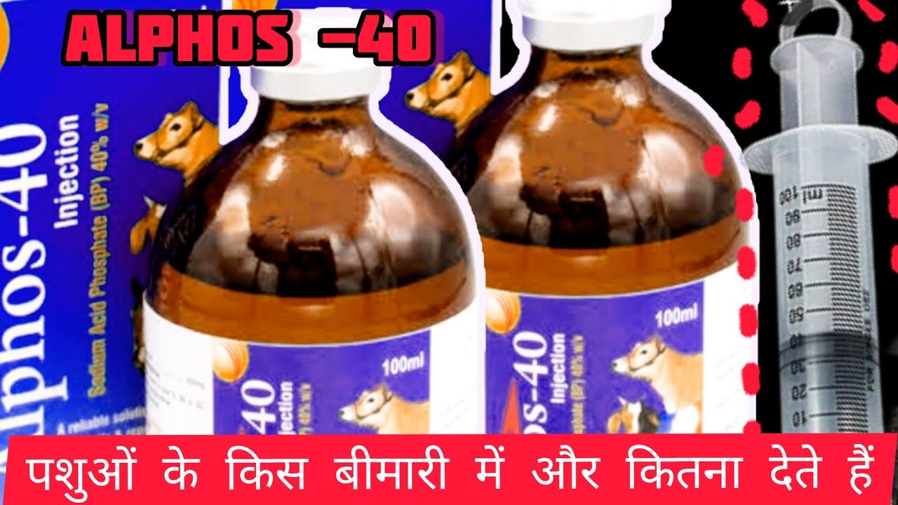Alphos injection,के फायदे - Sodium Acid Phosphate Salt! Alphos -40 ...