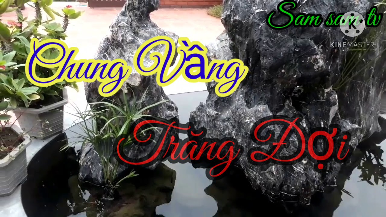 Chung Vầng trăng Đợi☆☆ nhạc sống # sam sam tv # - YouTube Music