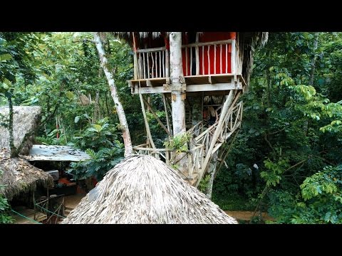 SLEEPING IN TREE HOUSES FOR A WEEK - YouTube