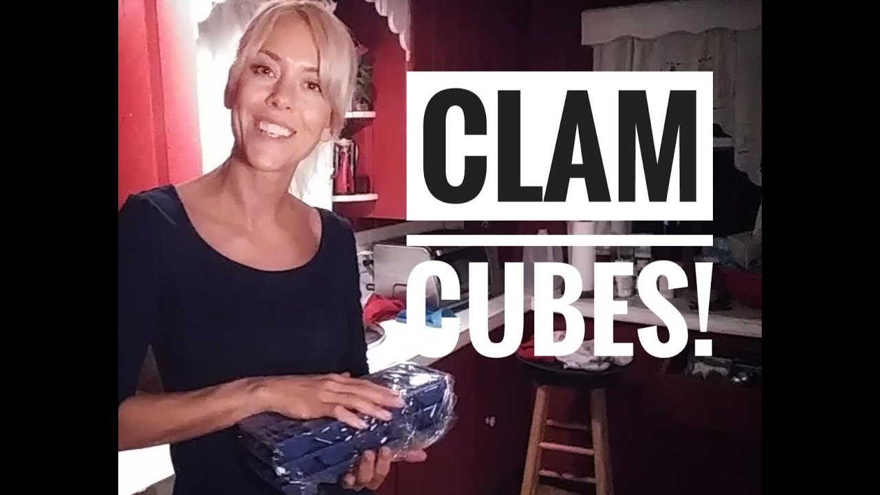 AIP Clam Cubes! - YouTube