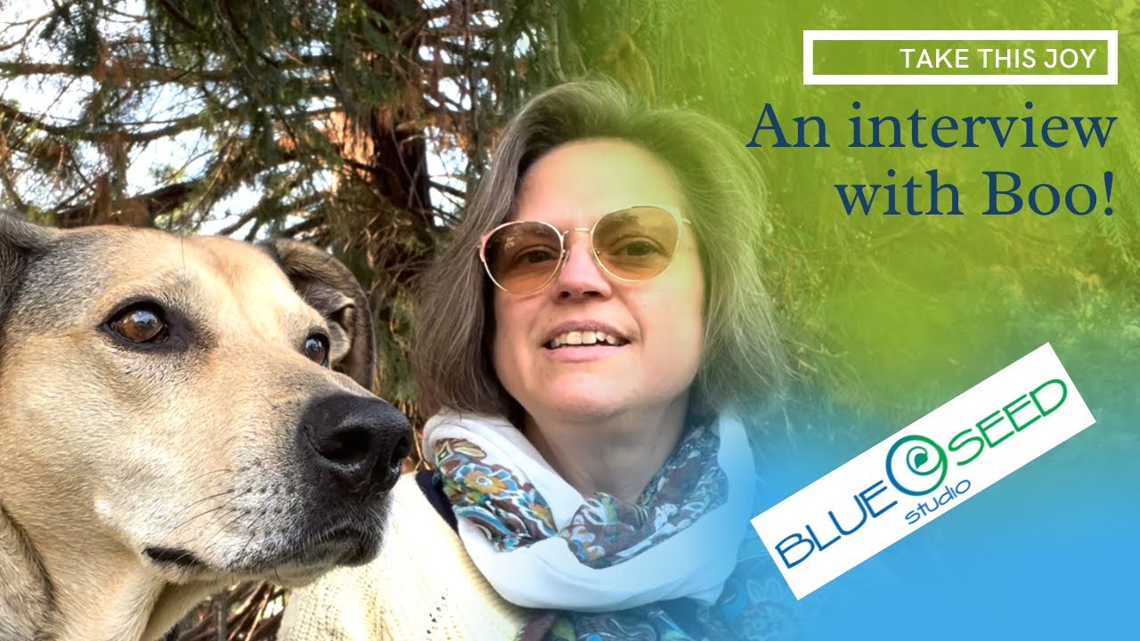 Vlog #9 - Take this Joy - Boo Talk - YouTube