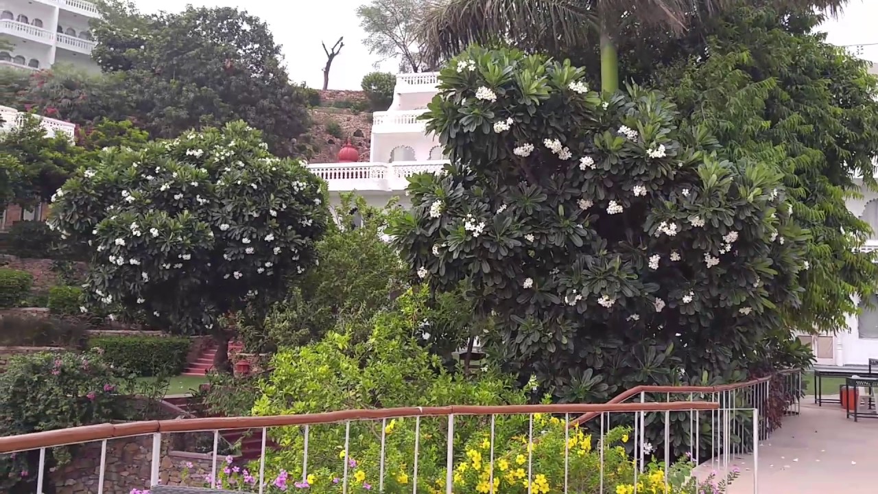 Baba Island Resort Jaisamand Lake Udaipur - YouTube