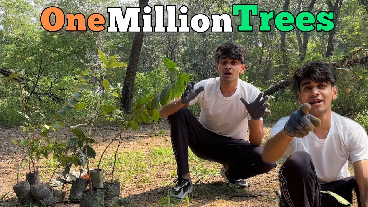 One Million TREES MOVEMENT - Diwali Special 🪔 - YouTube