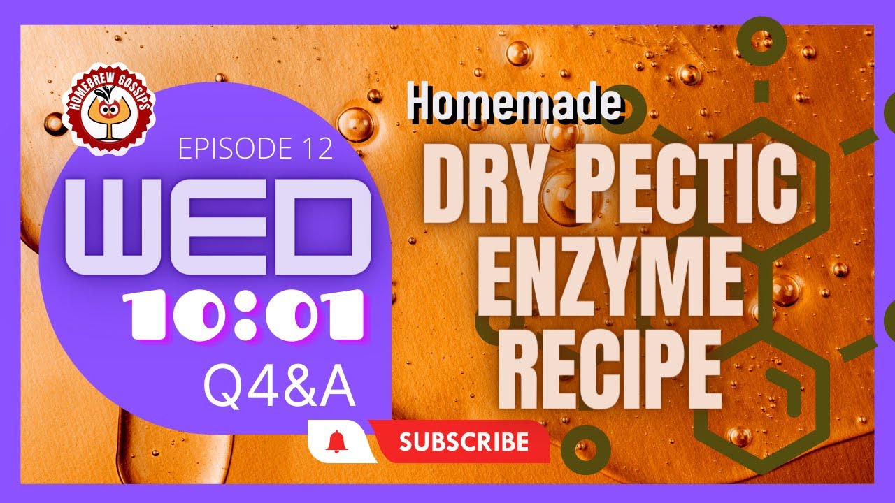 Homemade Dry Pactic Enzyme Recipe || Ep: 12 || Dr Babitta Biswaas - YouTube
