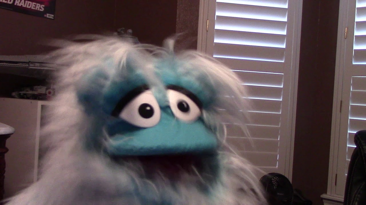 Sam the Mini Yeti Camera and Monitor test - YouTube