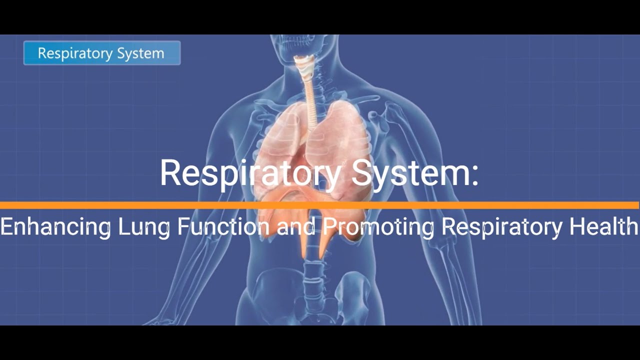 5 Tips for a Healthy Respiratory System Enhancing Lung Function and ...