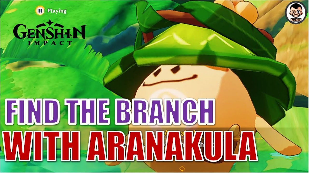 Find the branch together with Aranakula | Genshin Impact - YouTube