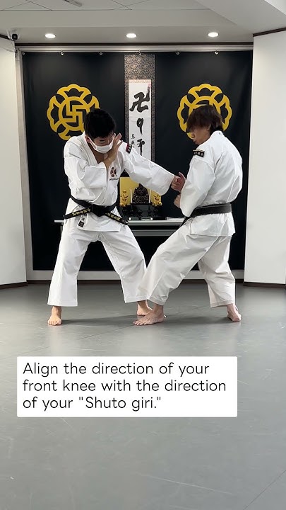 Katate yori nuki (Shorinji Kempo techniques) - YouTube