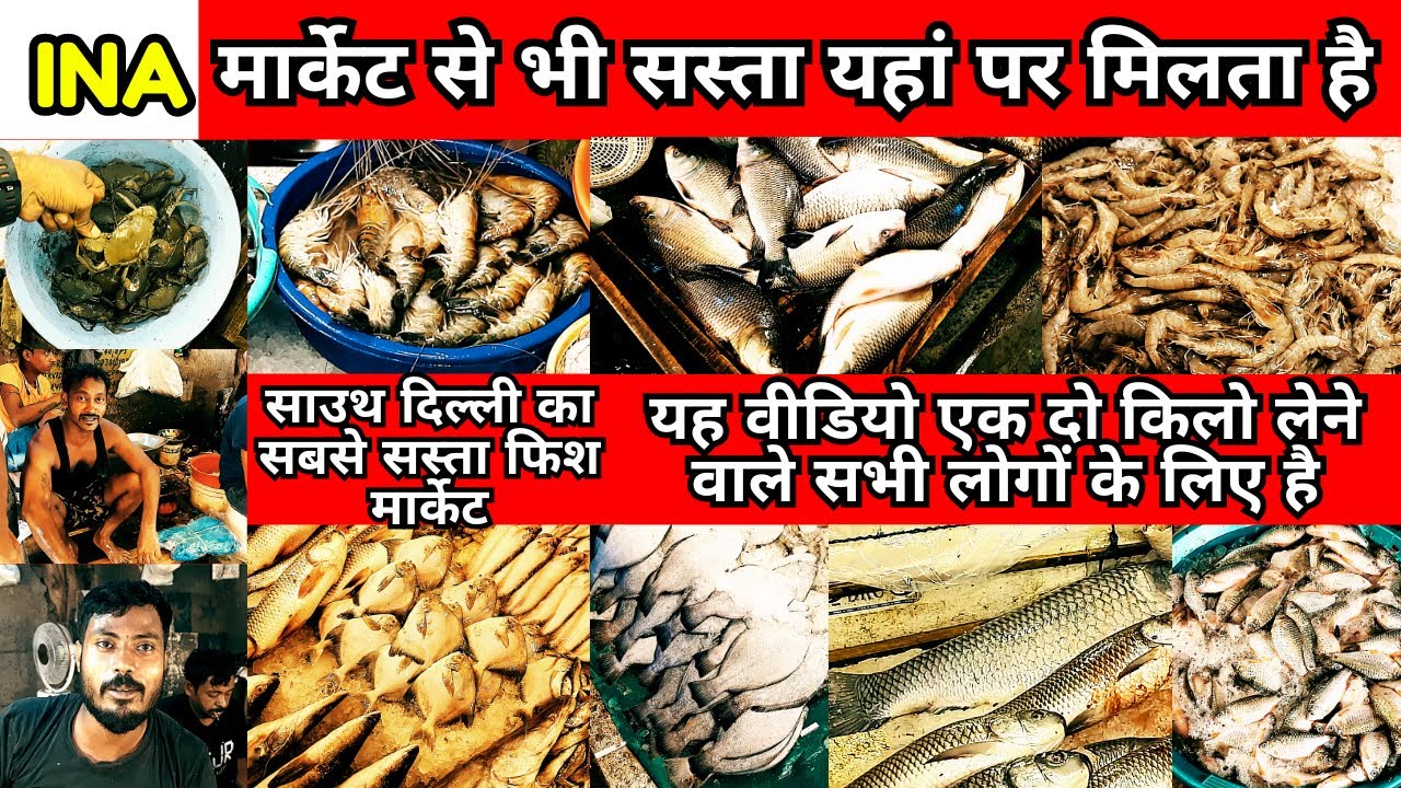 INA मार्केट से भी सस्ता यहां पर मिलता है सस्ता नॉन वेज आइटम #non veg ...
