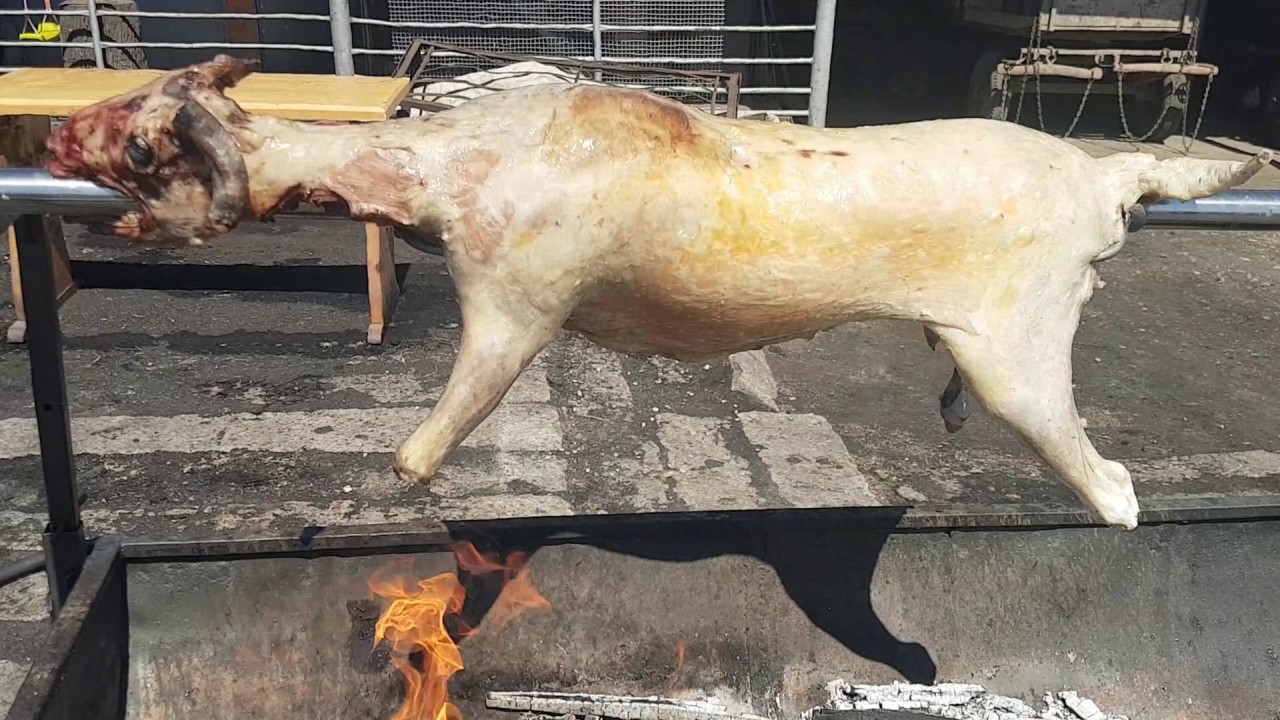 Protap-Rotisor electric de vanzare sau inchiriat-0767684322 - YouTube