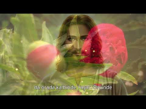 Zamanın Derinliklerinden Bir Uyanış    💌Yüce Ruhlardan Sesler  Lira Nova Öğretisi