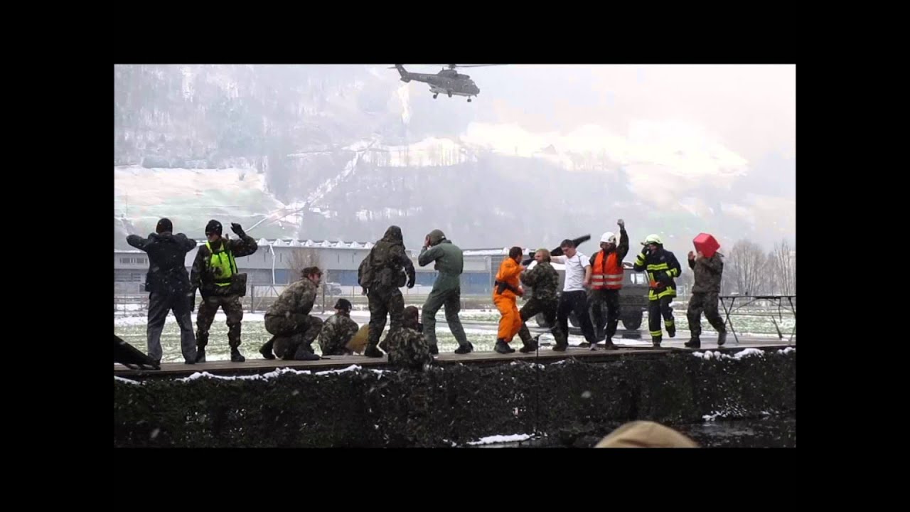 Harlem Shake (Swiss Army Edition) - YouTube