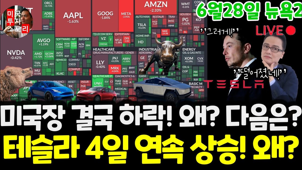 미국주식시황오늘 왜 떨어졌나 테슬라는 4일 연속 상승 엔비디아는구글 애플 아마존 메타 마이크로소프트 팔란티어 아이온큐 Smci 델 브로드컴 Crm등 Tsla