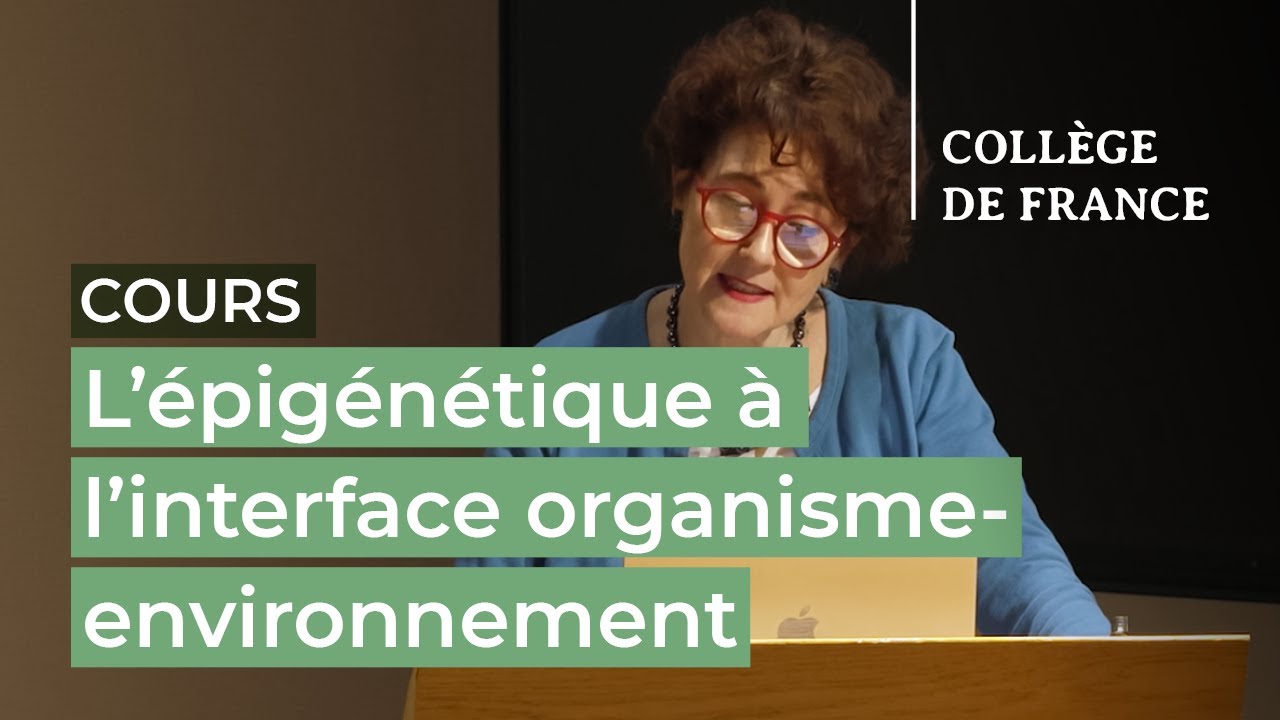L’épigénétique à l’interface organisme-environnement (4) - Edith Heard ...
