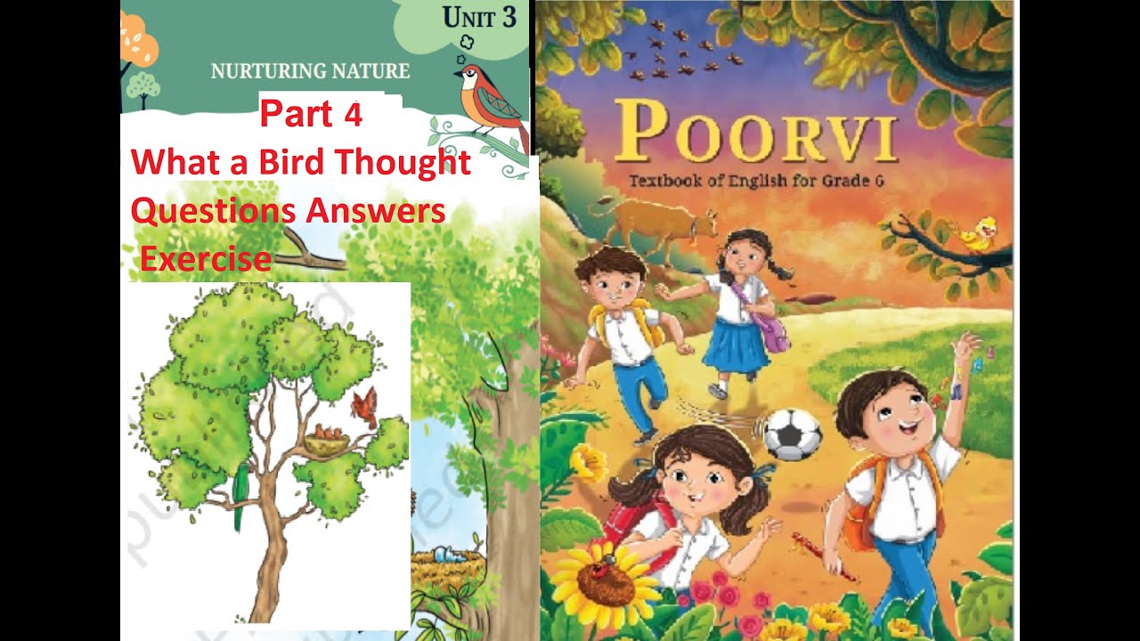 What A Bird Thought Part 2 Class 6 NCERT English Poorvi Unit 3 Part 4 what-a-bird-thought-part-2-class-6-ncert-english-poorvi-unit-3-part-4