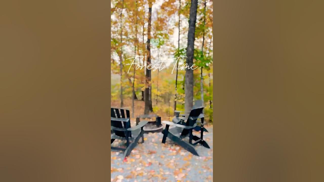 We are going camping!🏕 - YouTube