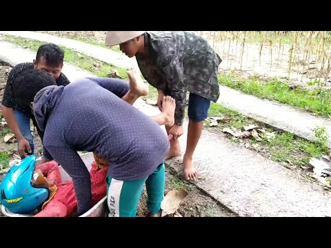 Mbah Gedhang - ( Aku ndak kuat part~1 ) - YouTube