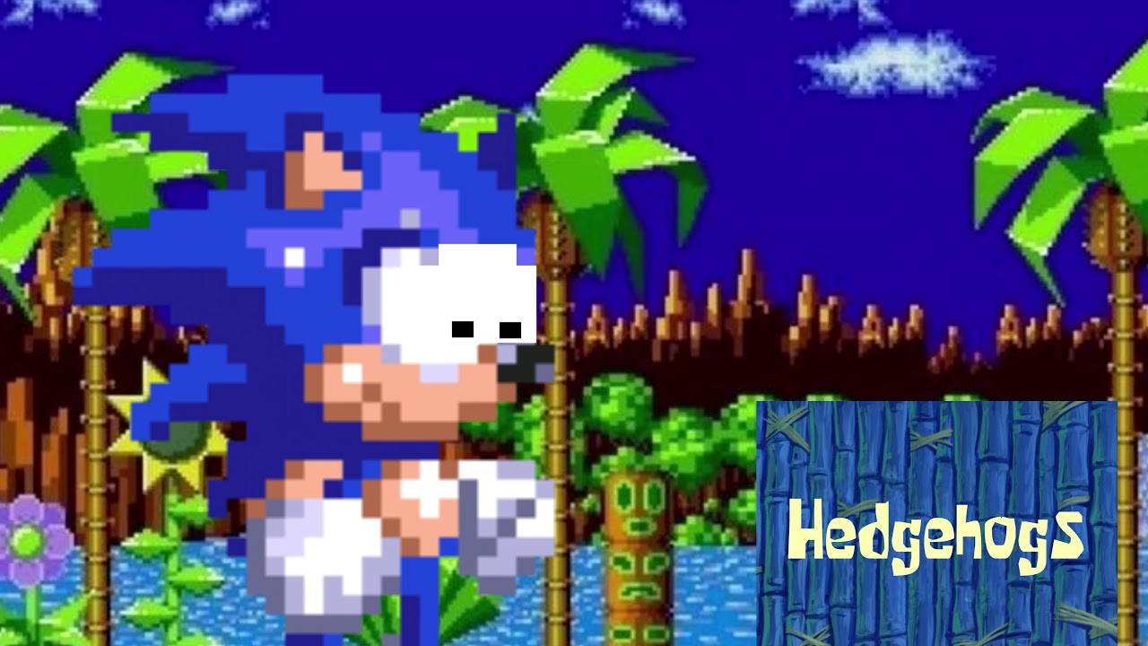 Let's go...... Hedgehogs?? - YouTube