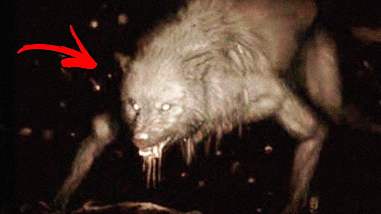 Terrifying Werewolf Encounters Scientists FEAR - YouTube