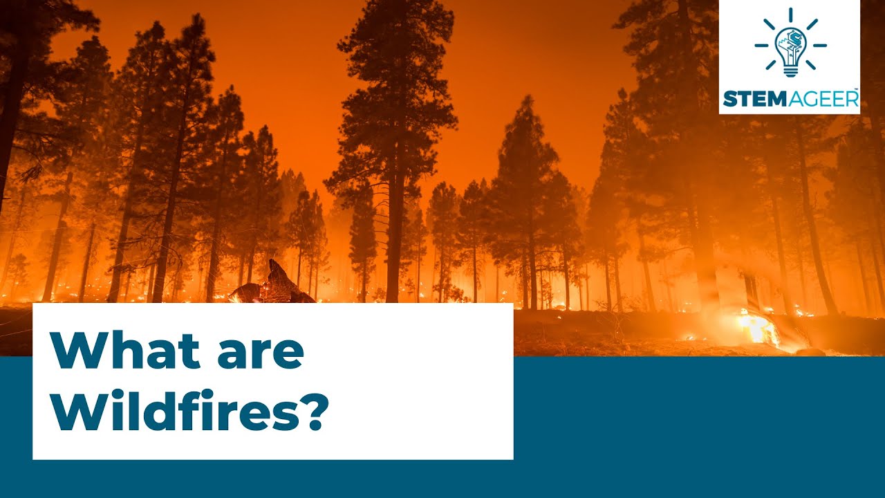 What are Wildfires, and How Do They Form? - YouTube