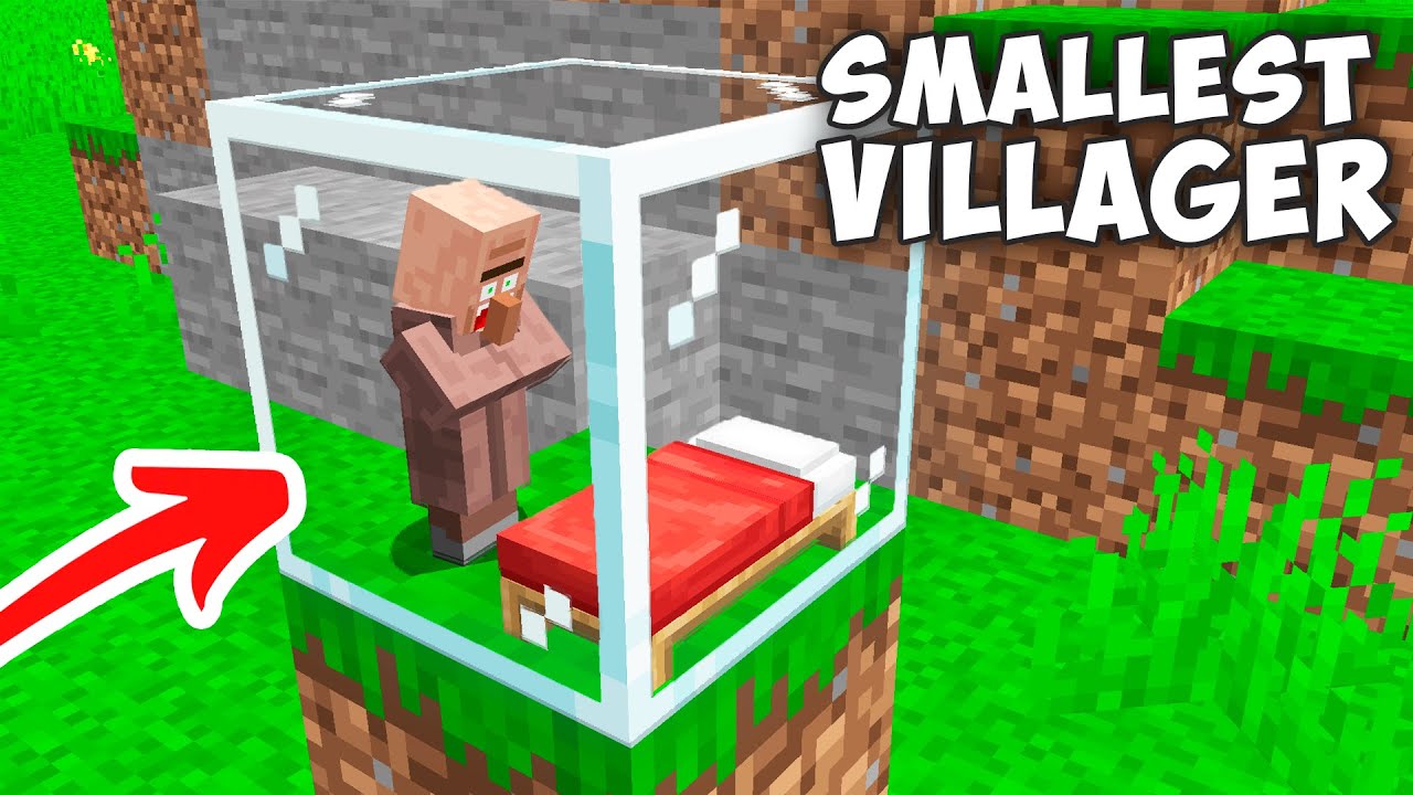 I found the SMALLEST VILLAGER in Minecraft! How to reduce the SIZE to ...