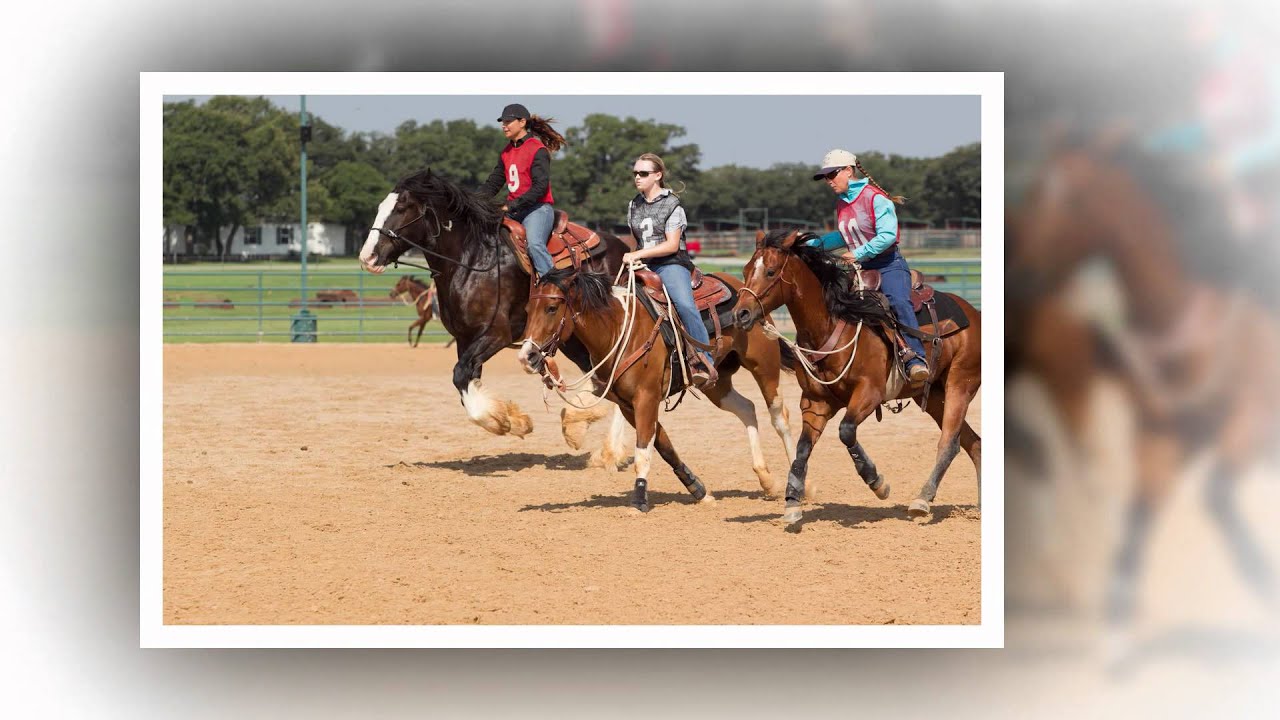 Colt Starting Clinic with Clinton Anderson - YouTube