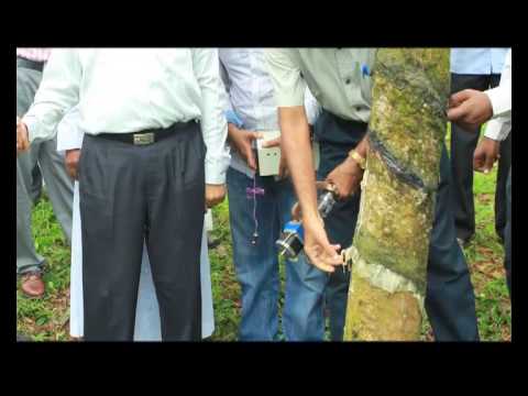 08 MOTORISED RUBBER TAPPING MACHINE - YouTube