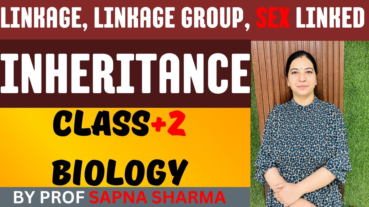 LINKAGE, LINKAGE GROUP, SEX LINKED INHERITANCE CLASS+2 BIOLOGY BY PROF ...