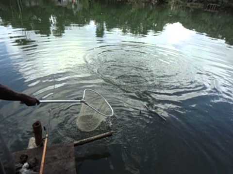 FISHING BABUL, DHAKA - YouTube
