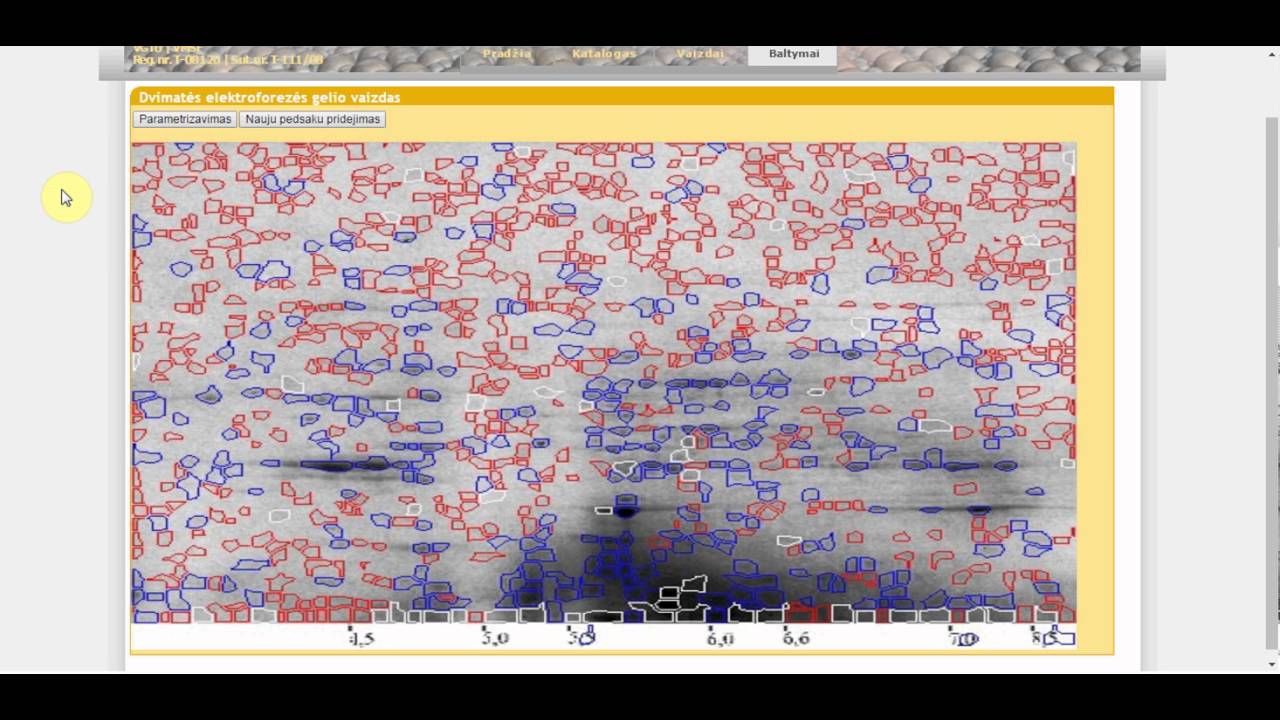TWO-DIMENSIONAL ELECTROPHORESIS GEL IMAGE ANALYSIS SYSTEM - YouTube
