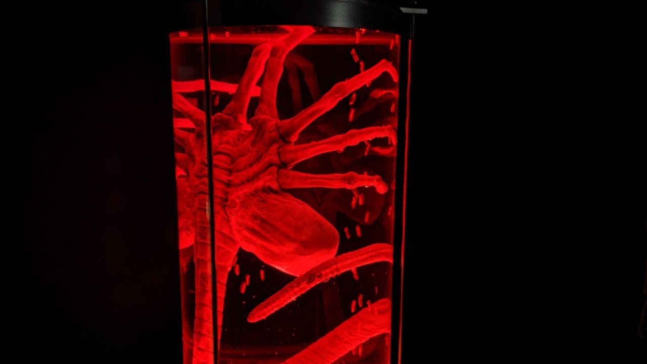 Stasis Chamber Reveal - YouTube