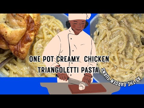 ONE POT CREAMY CHICKEN TRIANGOLETTI PASTA! SO DELICIOUS! BUDGET MEAL #3 ...