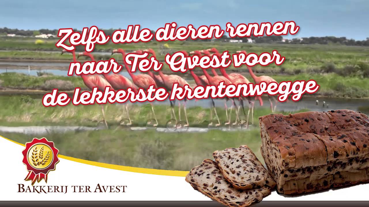 Twentse Wegge & Natuurzuiver brood - YouTube