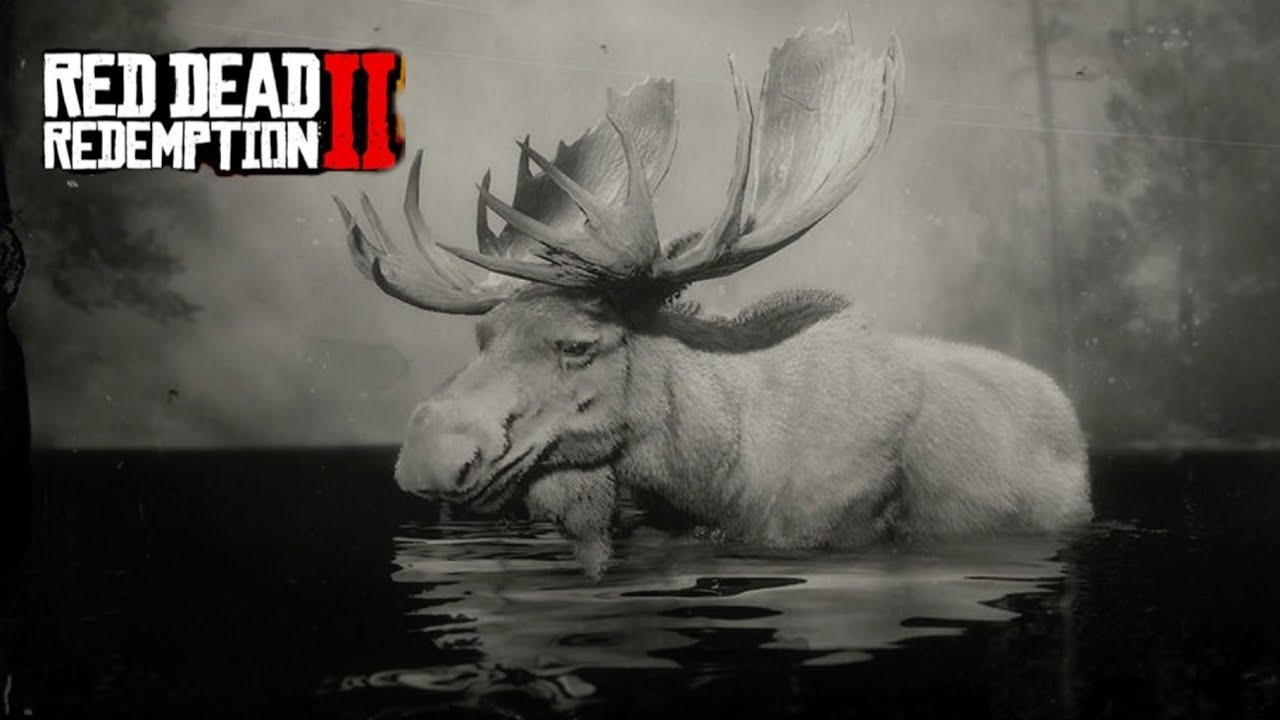 Rdr2 Legendary Moose - YouTube