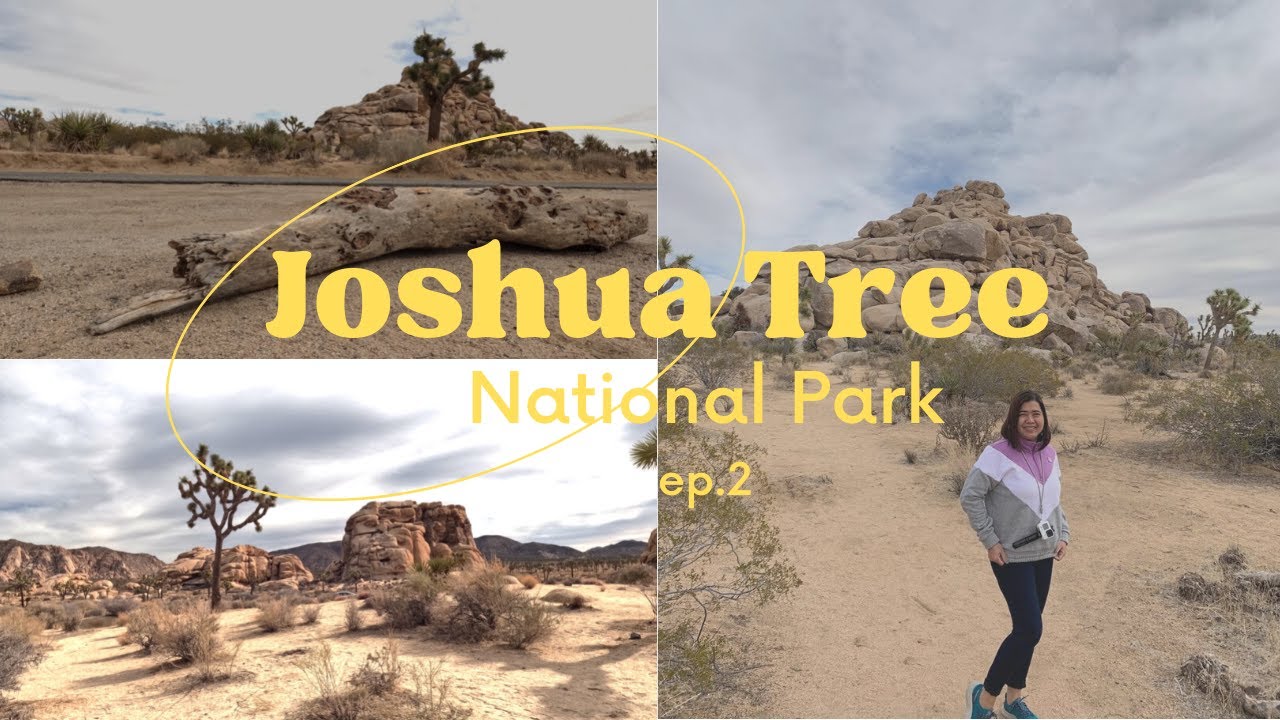 Tesla Road Trip to Joshua Tree National Park ep.2 - YouTube