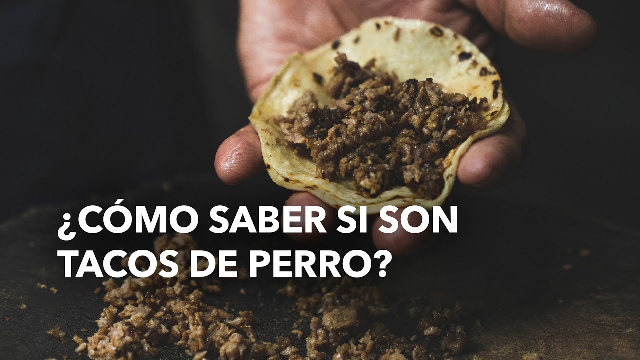 ¿Cómo saber si son tacos de perro? - YouTube
