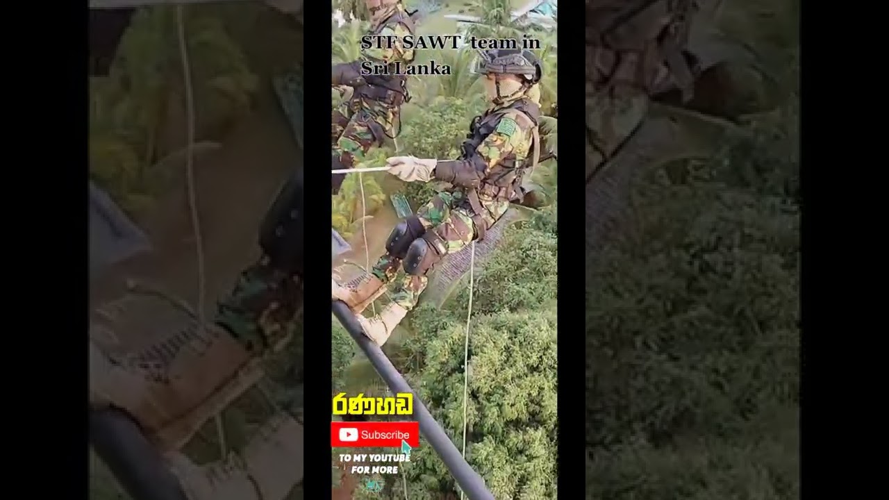 STF SWAT TEAM | තර්ජනයට එරෙහි සිoහයන් #stf #short #shorts #commando #sf ...