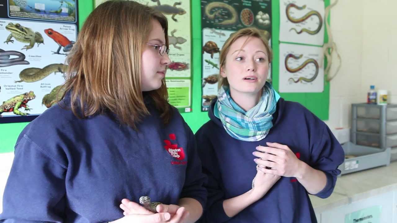 Foundation Degree In Animal Behaviour And Welfare YouTube foundation-degree-in-animal-behaviour-and-welfare-youtube