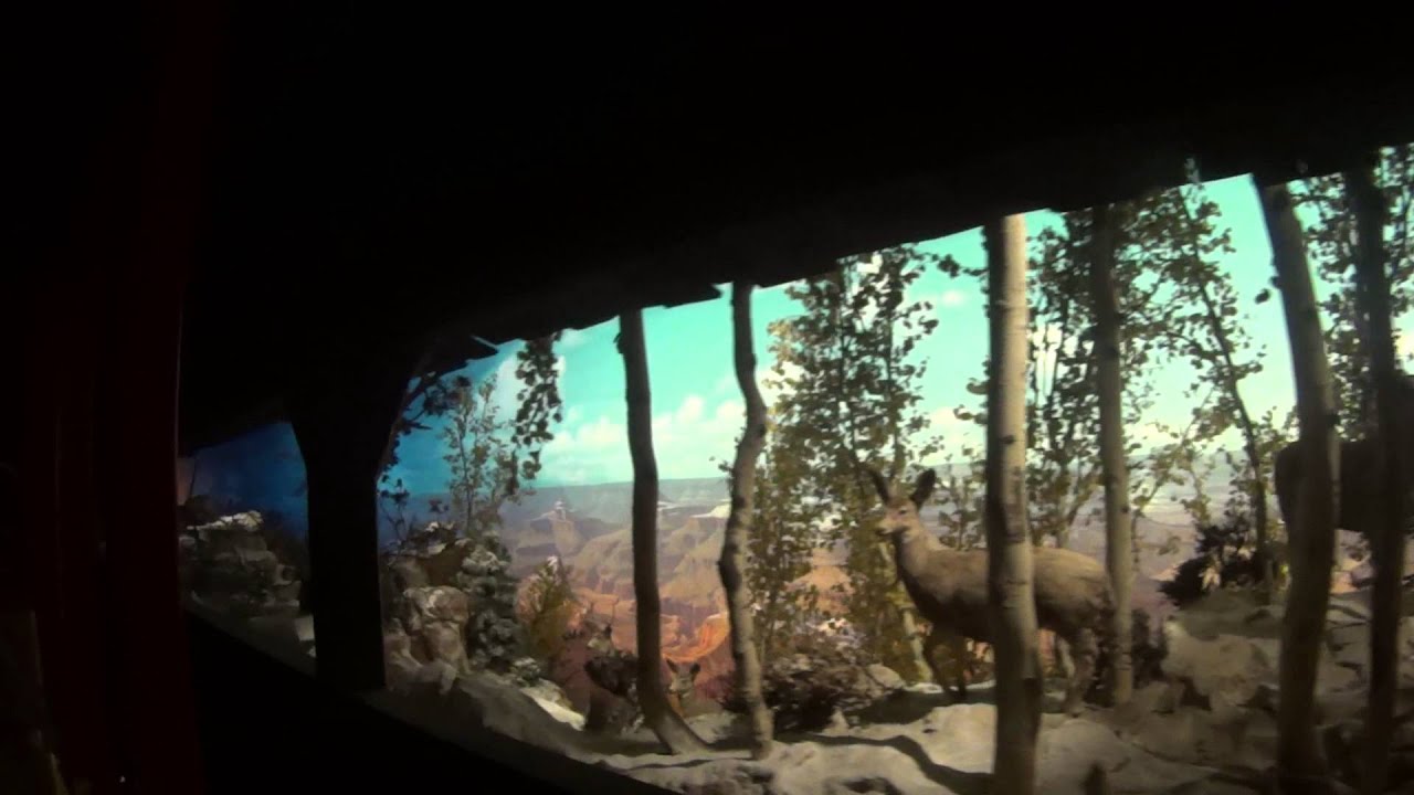 Railroad ride through the grand canyon at Disneyland CA 2015 - YouTube