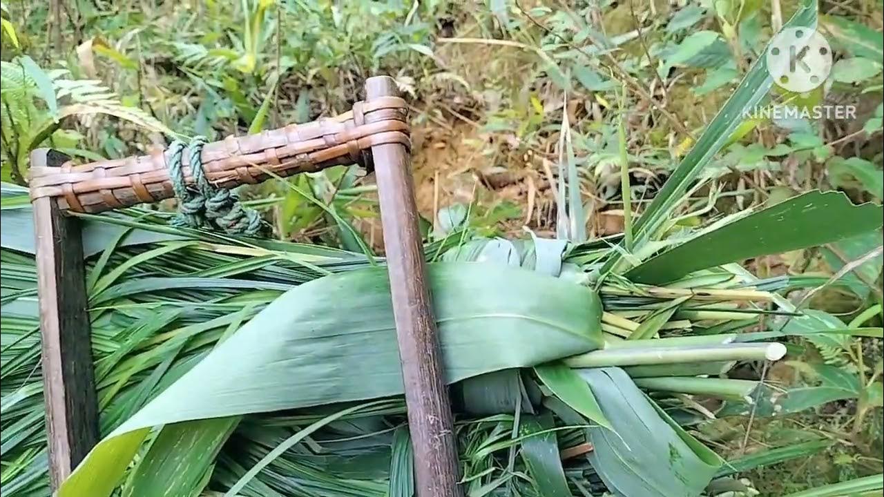 Lo Saib wb Mu De Zaub Nyuj Os - YouTube