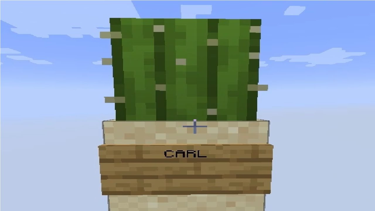 Minecraft Funny Moments with Carl the Cactus - YouTube