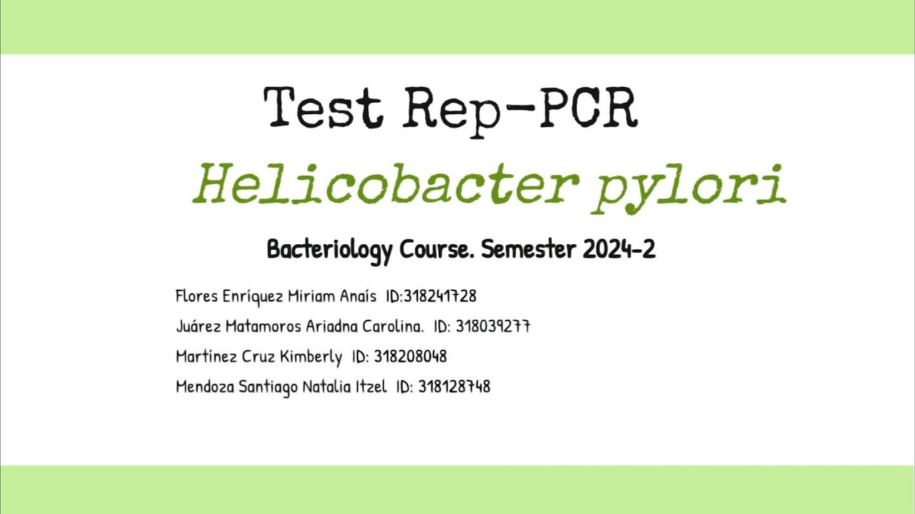 Test Rep-PCR. Helicobacter pylori / Bacteriology course - YouTube
