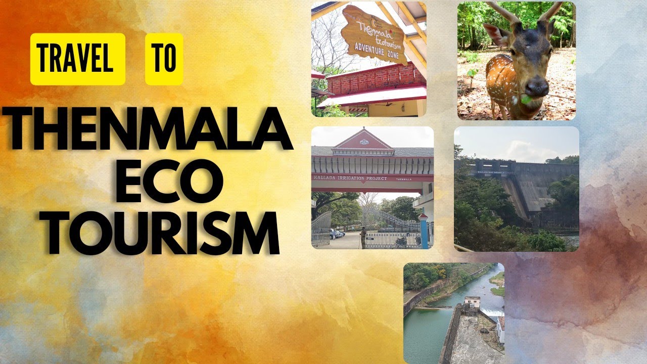 Thenmala Eco Tourism | Adventure zone | butterfly park | low budget ...