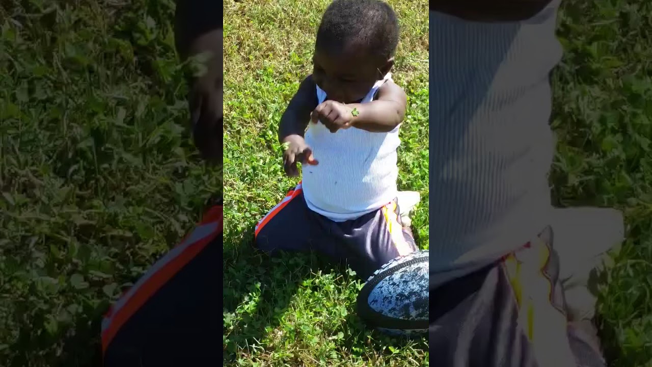 Pick them peanuts - YouTube