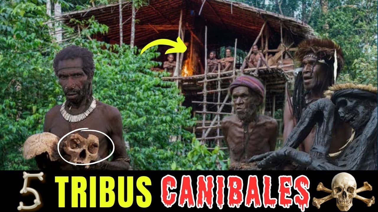Descubre el Mundo de las Ultimas Tribus Caníbales que Aun Existen - YouTube