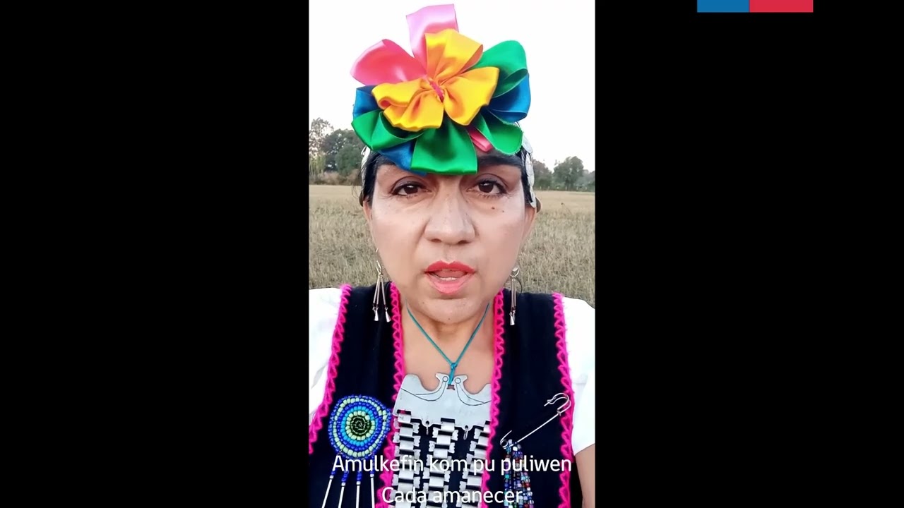 Cordillera de Palabras María Isabel Lara Millapan - YouTube
