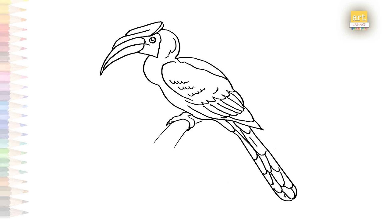 Hornbill drawing easy | Art tutorial | How to draw Hornbill step by ...