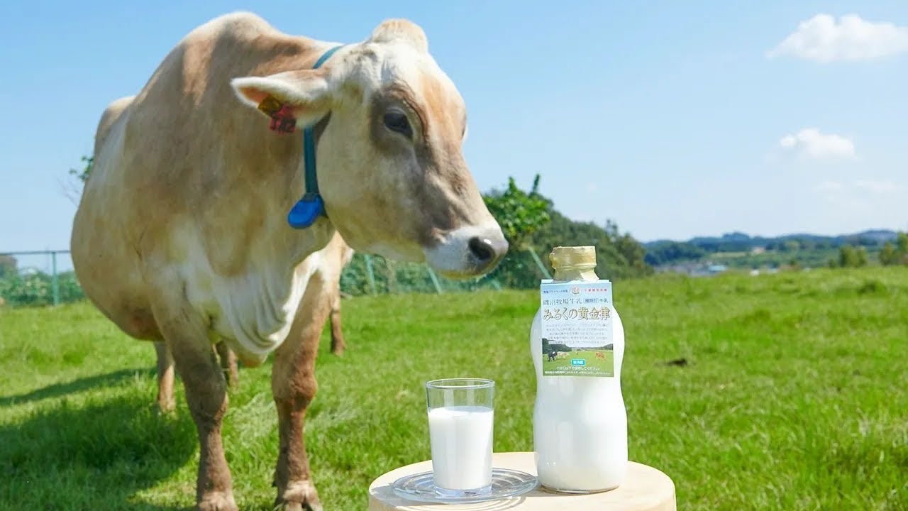 TOKYO FARM VILLAGEに行こう😊 - YouTube