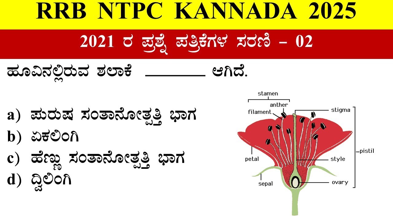 RRB NTPC Previous Years Questions| Class 2 | Daily Dose Top-10 | RRB ...